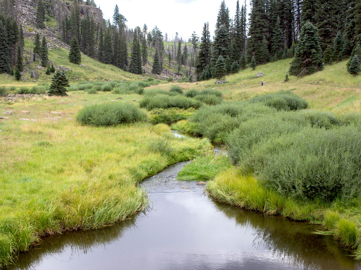 Pinetop Local Guide | Roundhouse Residences